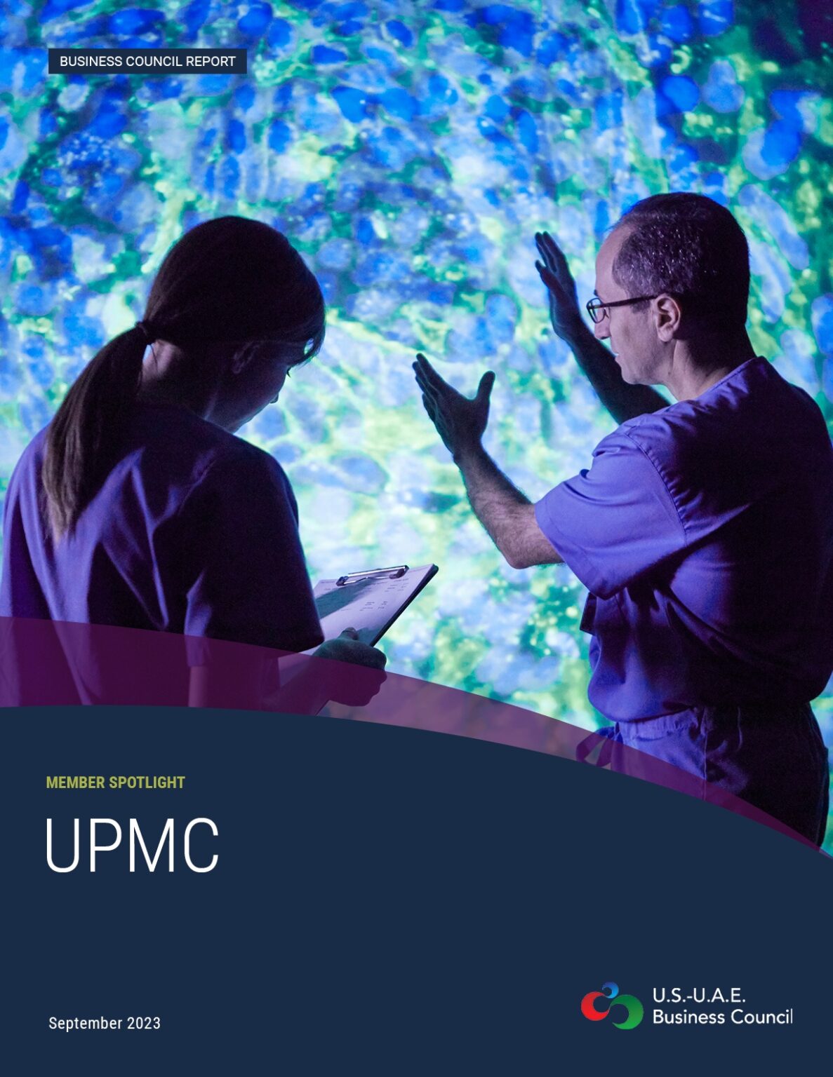UPMC - The U.S.-U.A.E. Business Council